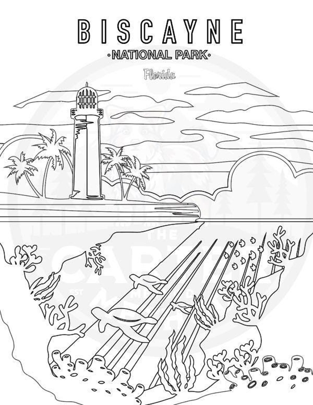 Biscayne National Park Coloring Sheet (8.5"x11") - Etsy