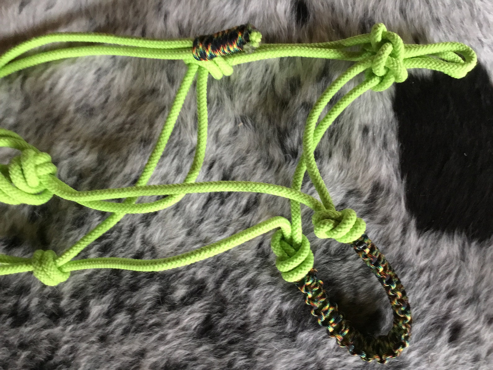 Rope Horse Halters With Braided Nose Band - Etsy