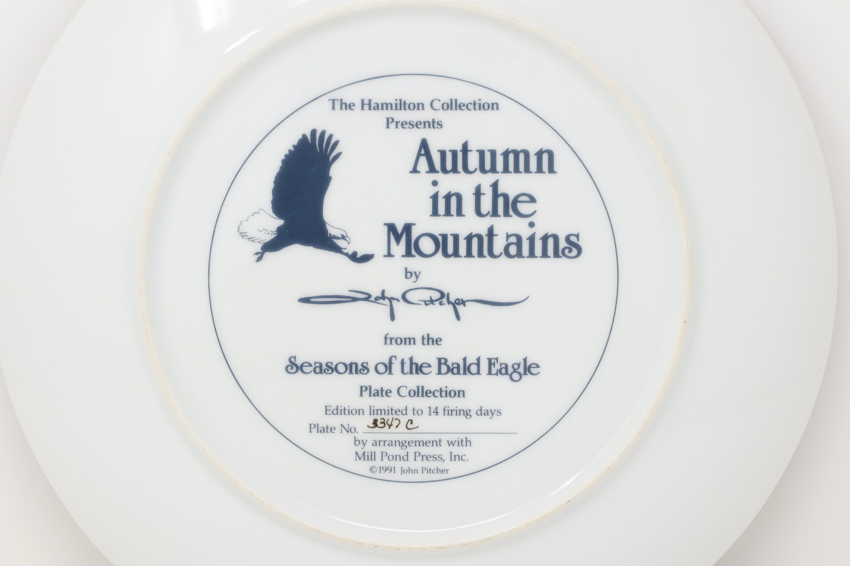 VERY NICE 9.5 Autumn in the Mountains Plate Bald Eagle - Etsy