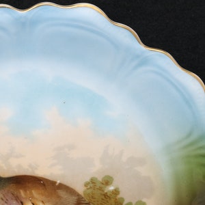 RARE Antique 12.5" Round Platter, Z. S. and Co. Bavaria, Zeh Scherzer ...