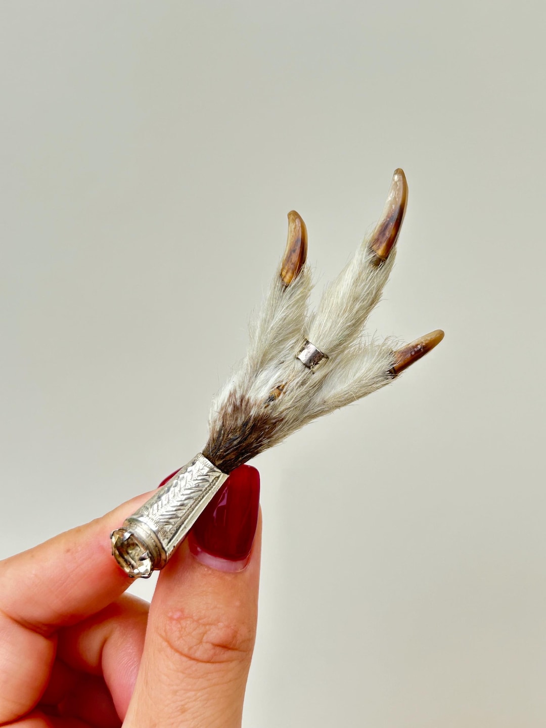 Antique Scottish Lucky Grouse Claw Brooch / Pin - Etsy