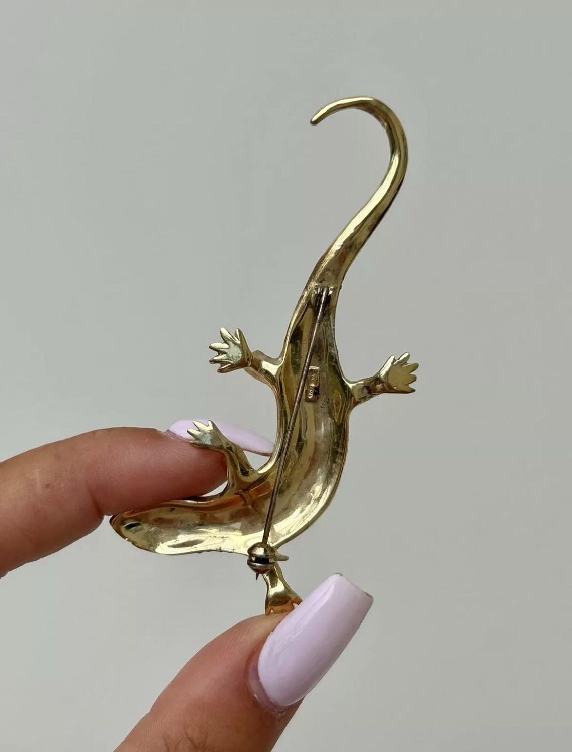 Vintage Large Silver and Paste Lizard / Gecko Brooch - Etsy