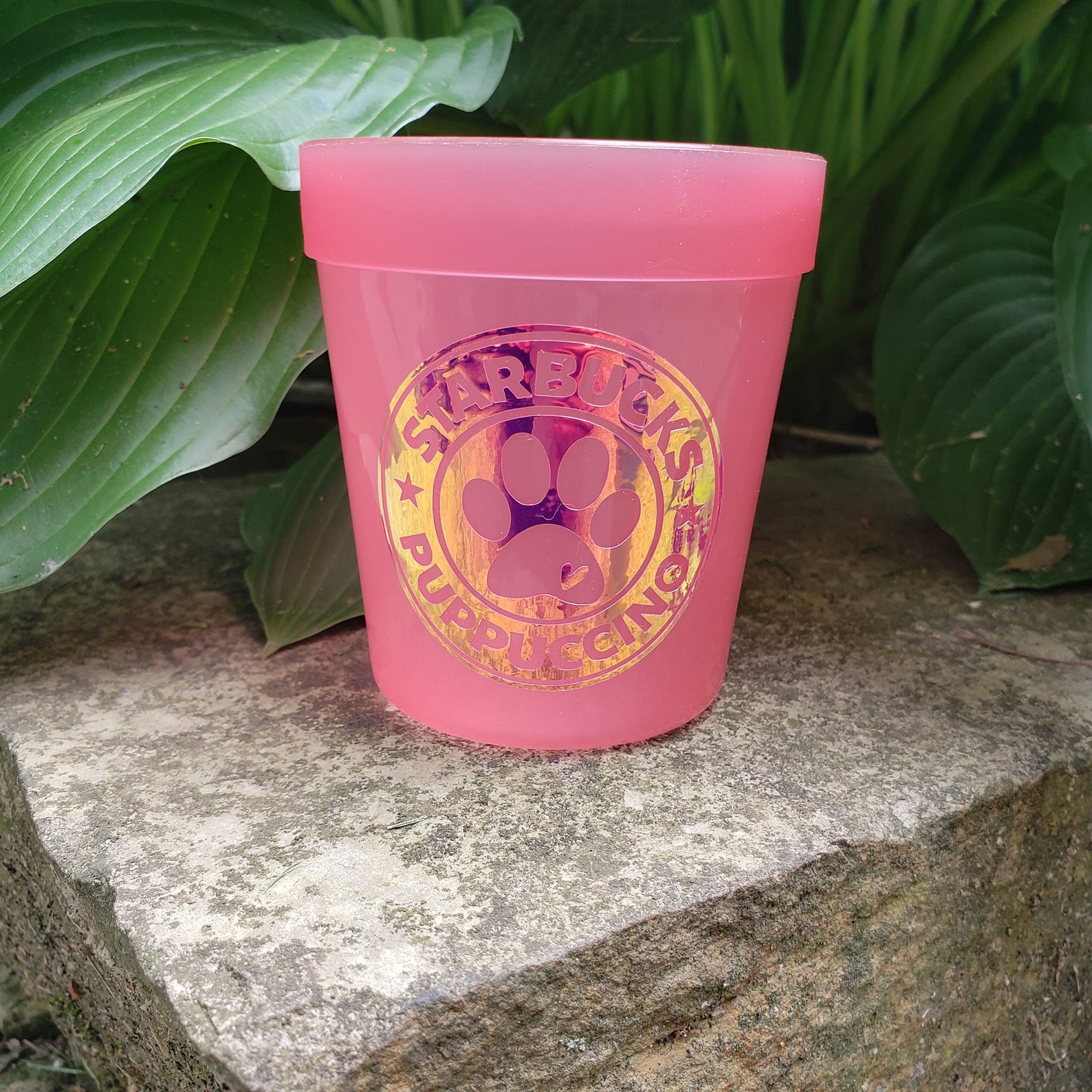 Starbucks Reusable Pup Cup 8 Oz Starbucks Puppuccino - Etsy