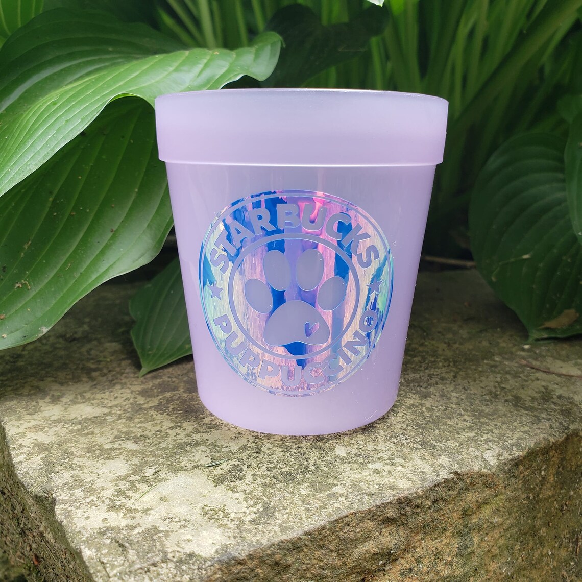 Starbucks Reusable Pup Cup 8 Oz Starbucks Puppuccino - Etsy