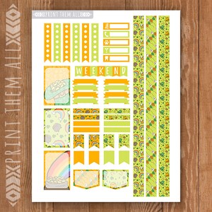 St Patrick's Day Planner Stickers Printable, March Kit, HAPPY PLANNER ...