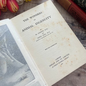 The Wonders of Animal Ingenuity Natural History Antique Illustrated ...