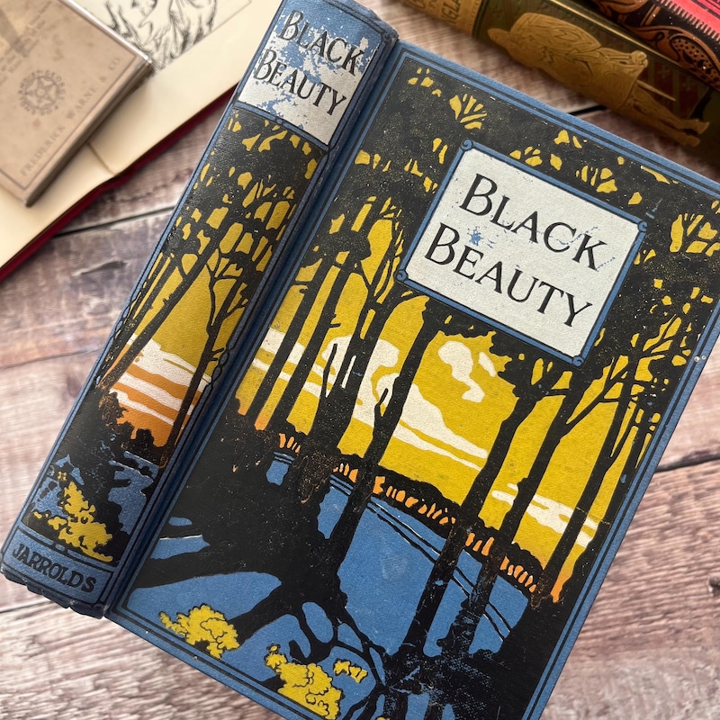 Pictorial Book Cover - Etsy