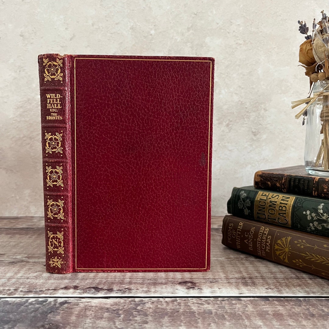 1905 the Tenant of Wildfell Hall by Anne Bronte and the Professor by ...