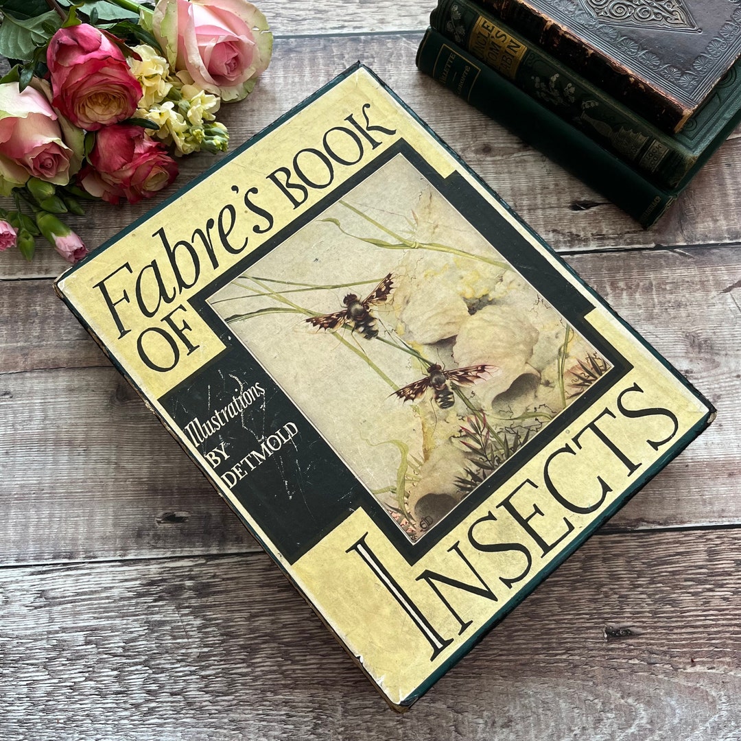 Fabre's Book of Insects Illustrations by Edward Detmold Vintage Dust ...