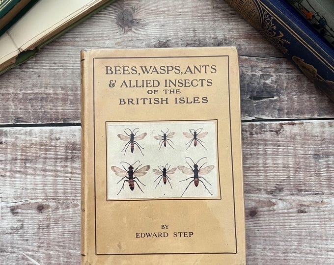 Bees, Wasps, Ants, and Allied Insects of the British Isles A Pocket ...