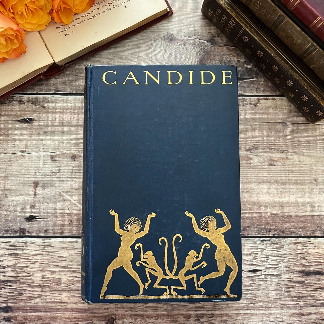 1928 Candide and Other Romances by Voltaire Illustrated Vintage Antique ...