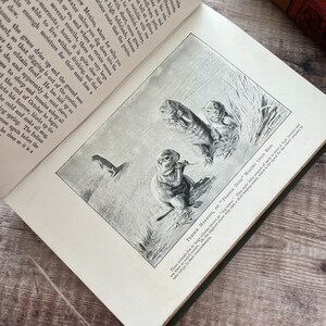 The Wonders of Animal Ingenuity Natural History Antique Illustrated ...