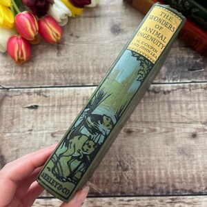 The Wonders of Animal Ingenuity Natural History Antique Illustrated ...