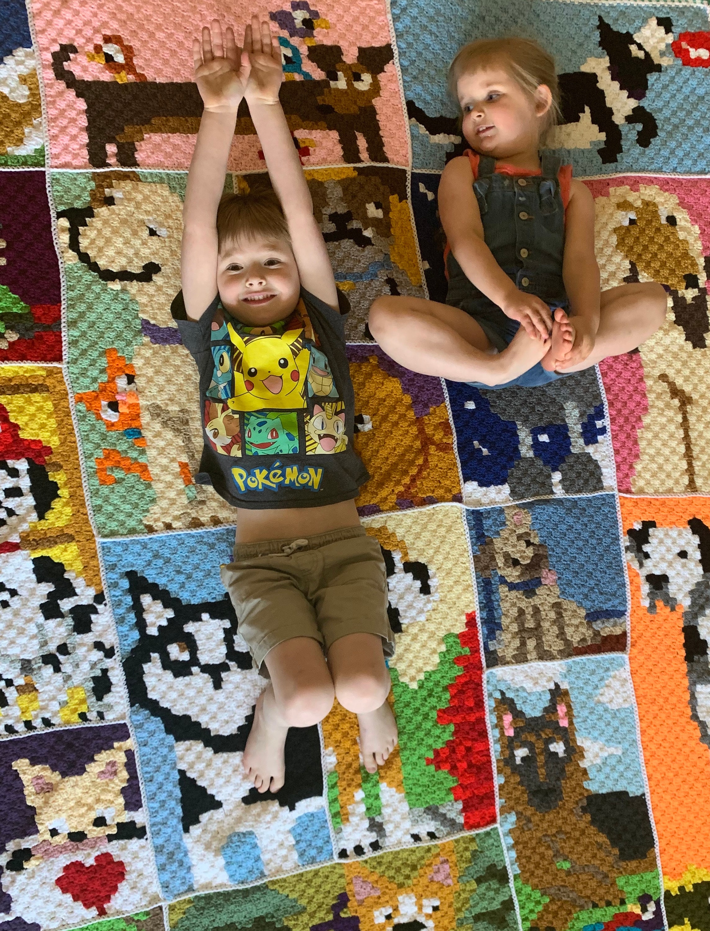 Crochet Pattern Dogghan C2C Blanket Pattern Dog Blanket | Etsy