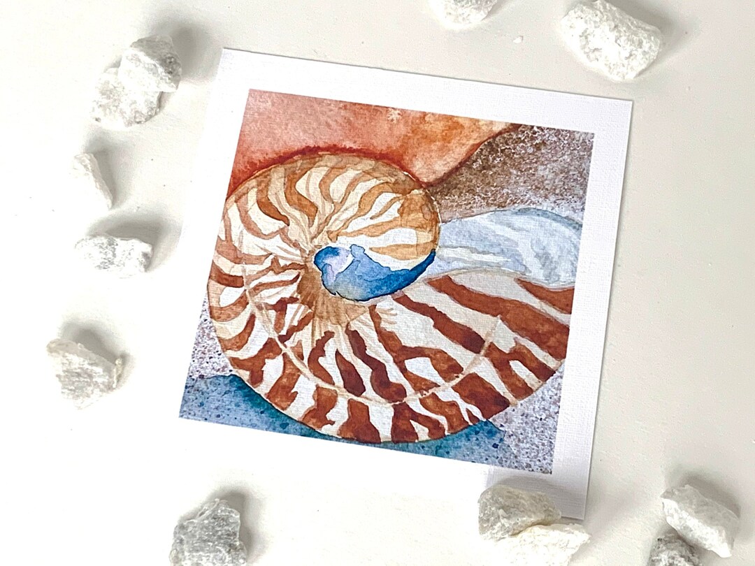 Nautilus Shell 3x3" Mini Traditional Art Print ~ Oceanic Print ~ Sea ...