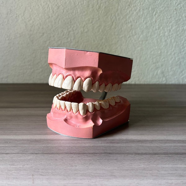 Fake Tooth Prop - Etsy