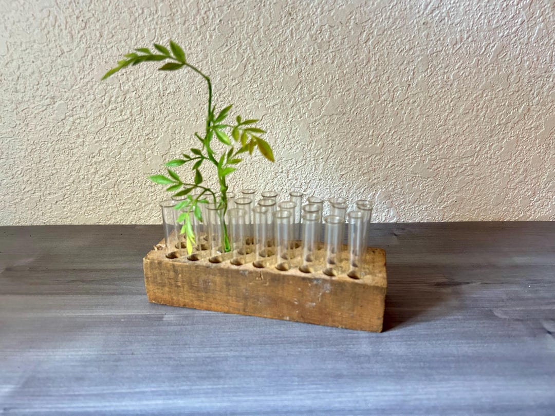 Antique Wood Block Test Tube Holder, Vintage Lab, Test Tube Rack, Test ...