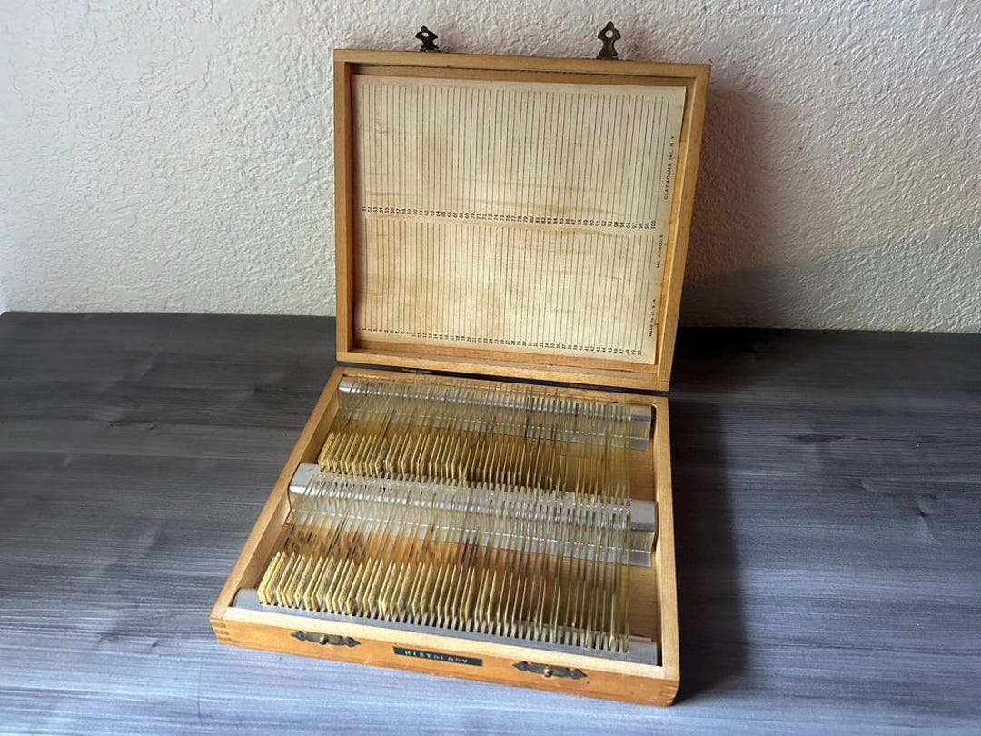 Vintage 1950s Microscope Slide Case and 100 Slides, Industrial Science ...