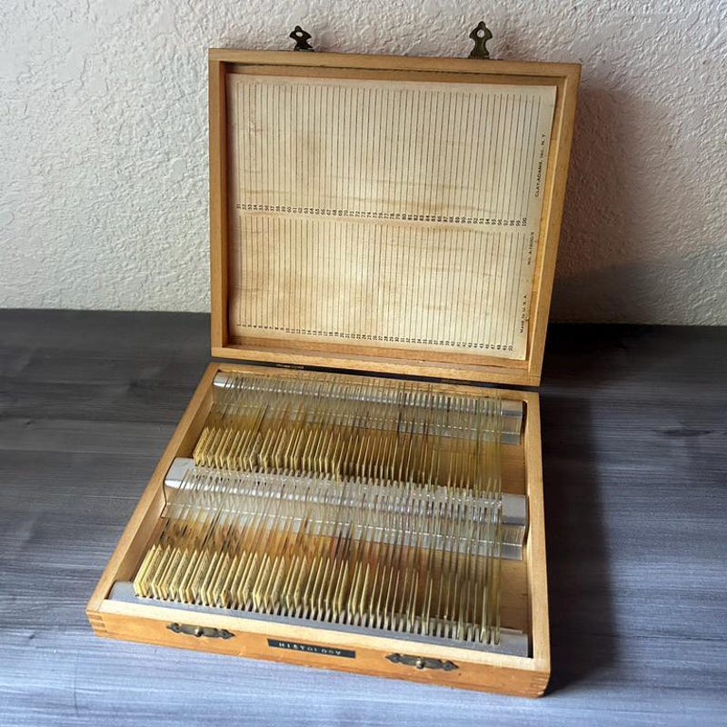 Dexter Blood Slide Box - Etsy