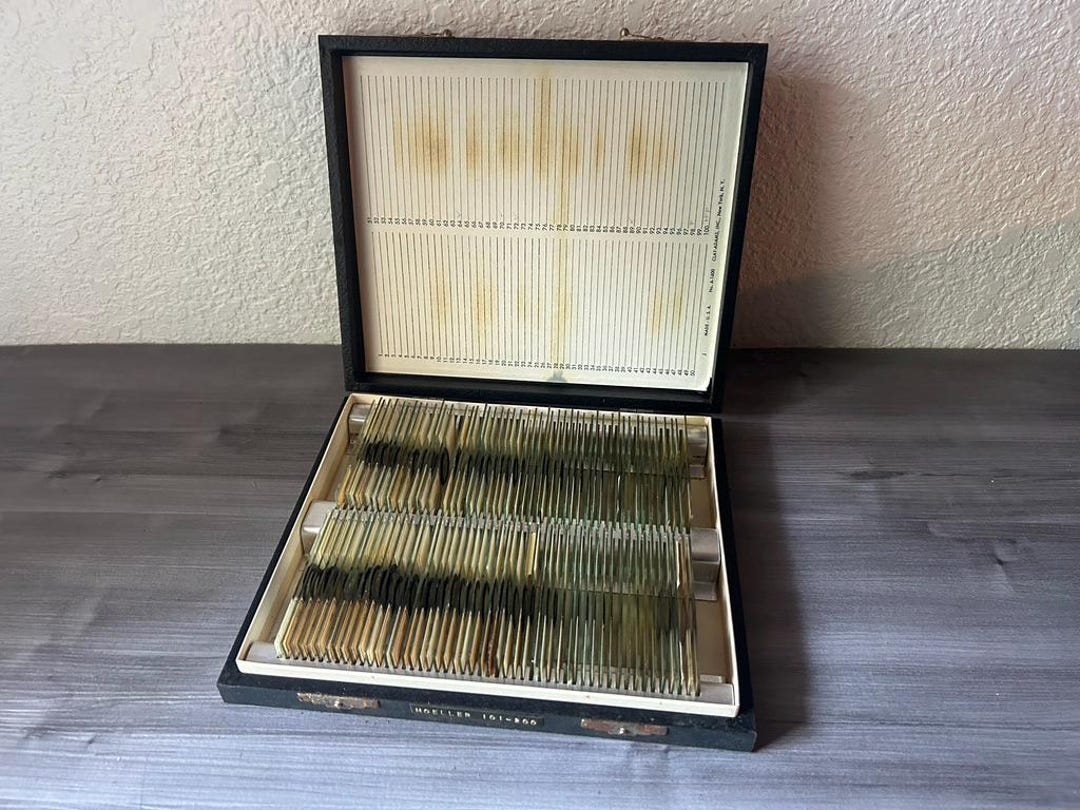 Vintage 1950s Microscope Slide Case and 100 Slides, Industrial Science ...