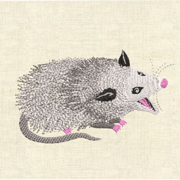 Opossum Embroidery Pattern - Etsy
