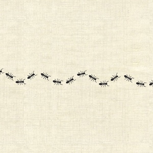 Tiny Ants Border Machine Embroidery Designs - Etsy