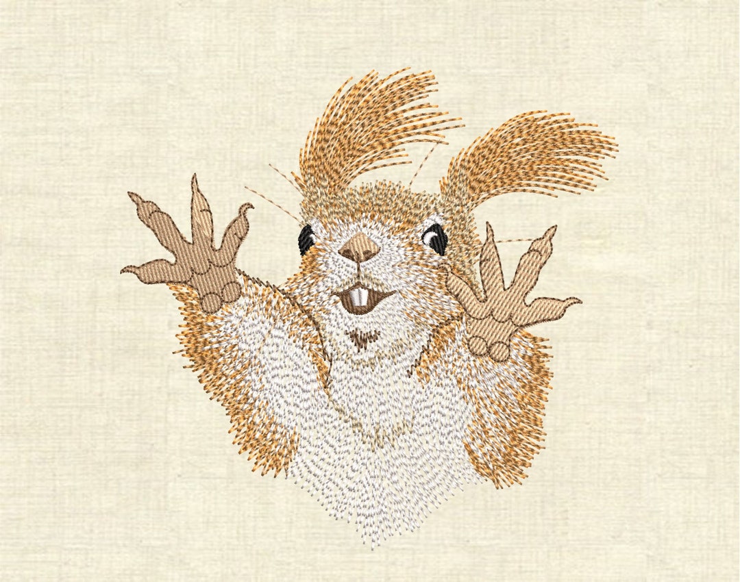 Flying Squirrel Machine Embroidery Designs - Etsy