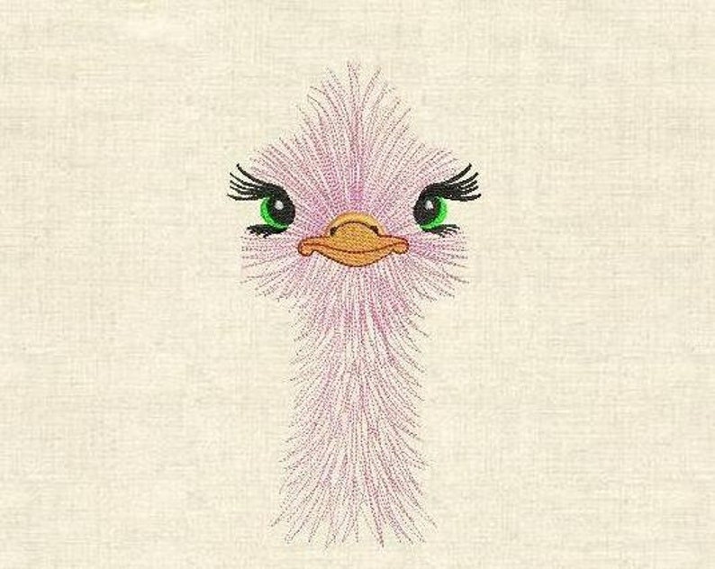 Set Of 2 Machine Embroidery Designs Ostrich Birds Etsy