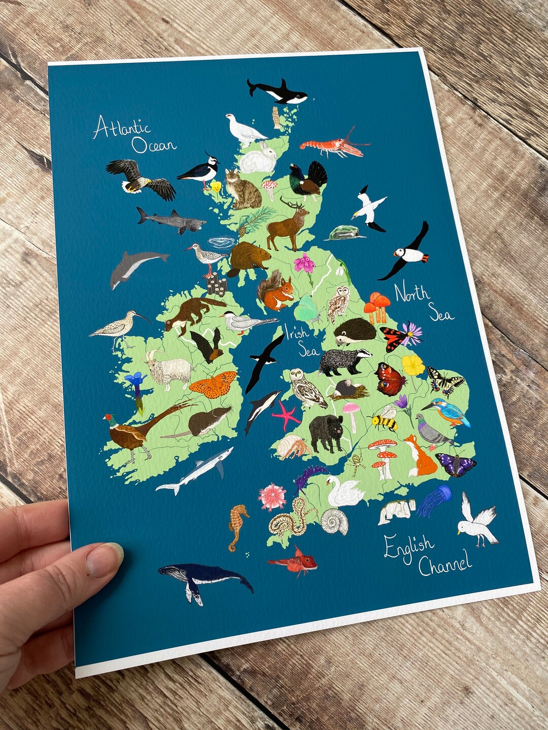 Illustrated Map of Nature in the British Isles,british Isles Nature Map ...
