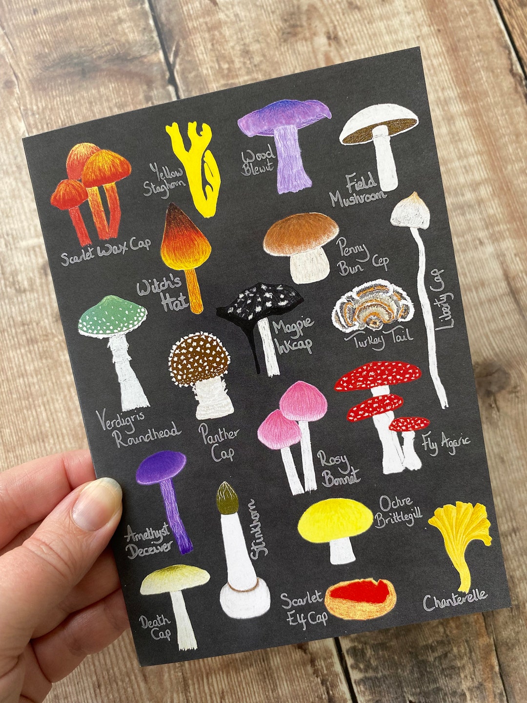 Toadstool Card,fungi Card,mushroom Card,wildlife Card,woodland Card ...
