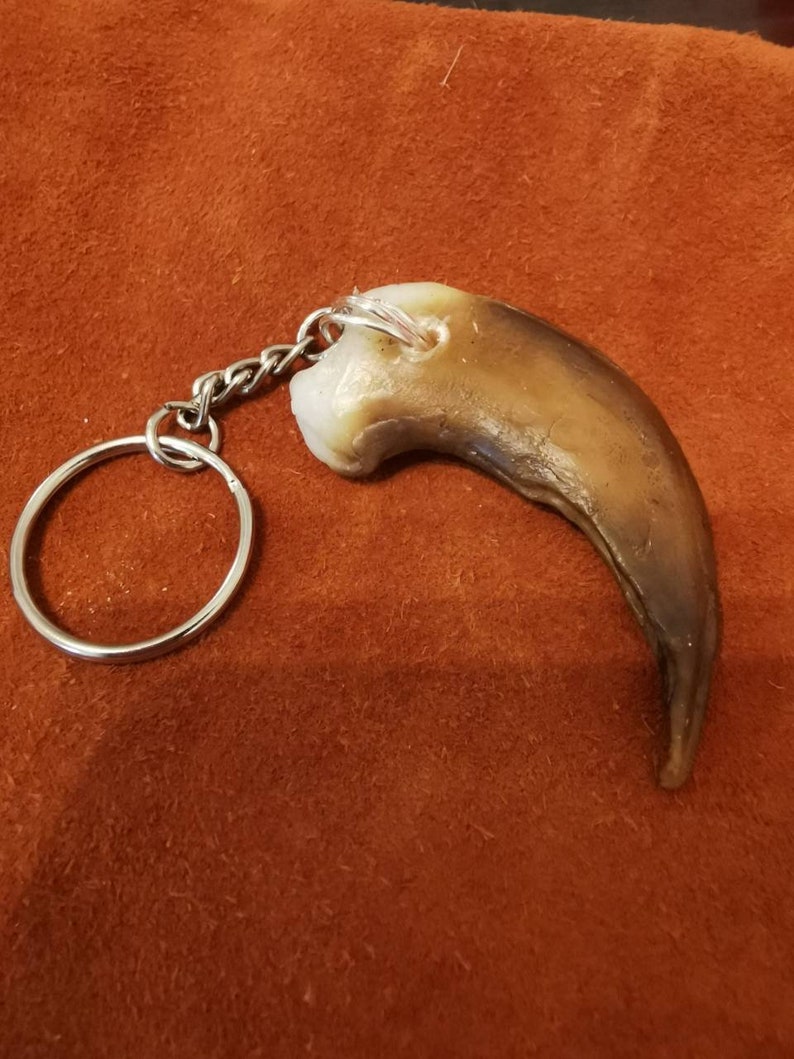 Black Bear Faux Claw Keychain, Realistic Replica Claw, Polymer Clay ...