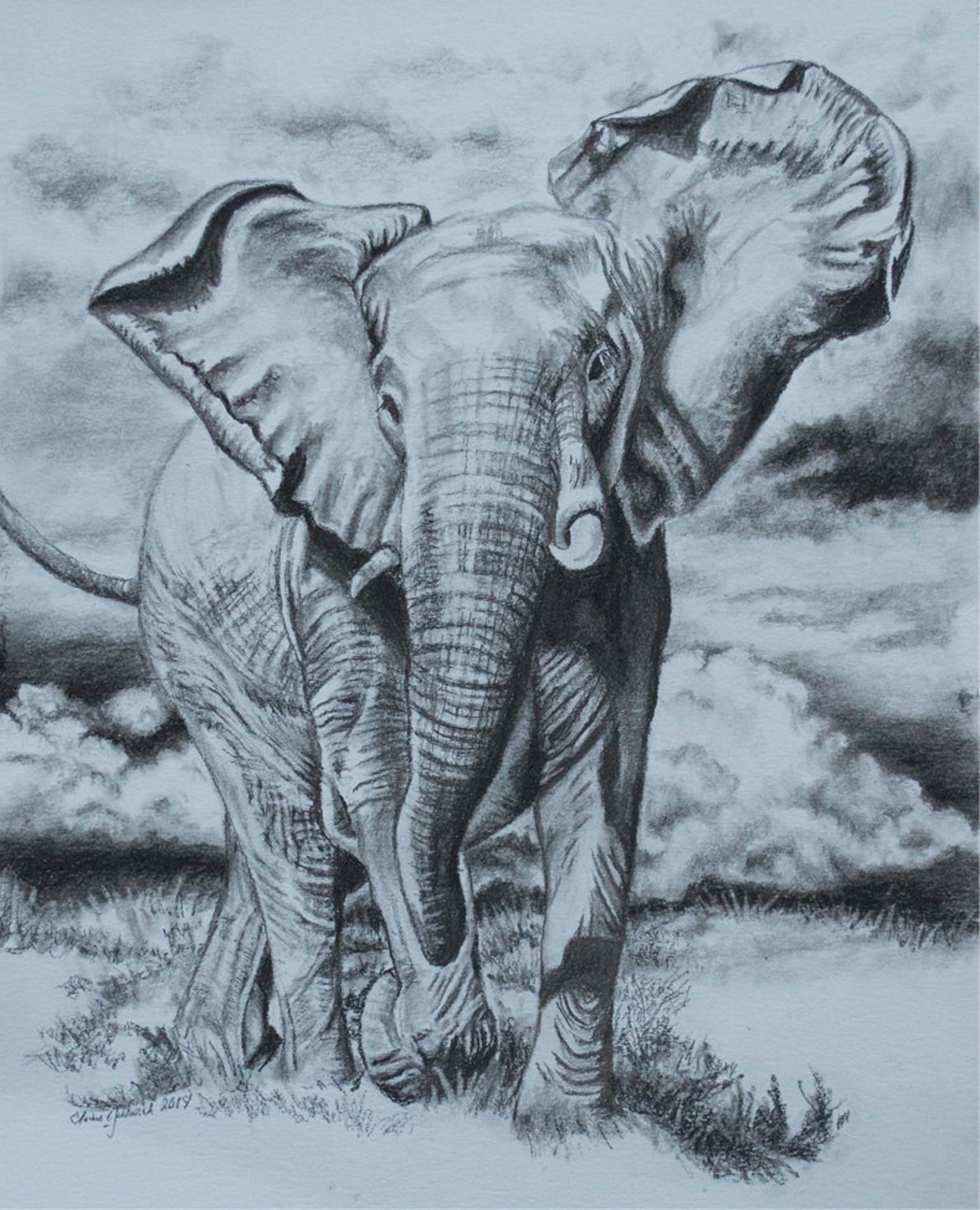 Elephant Wall Art Print From Original Charcoal Drawing - Etsy