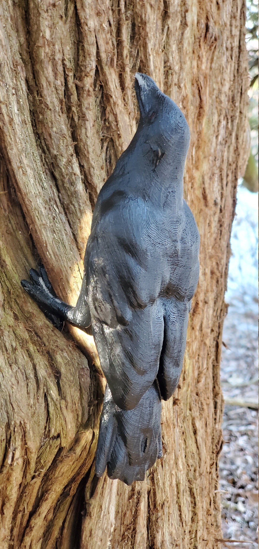 Raven or Crow Familiar, Pagan Altar Art, Wiccan Decor, Witchcraft ...