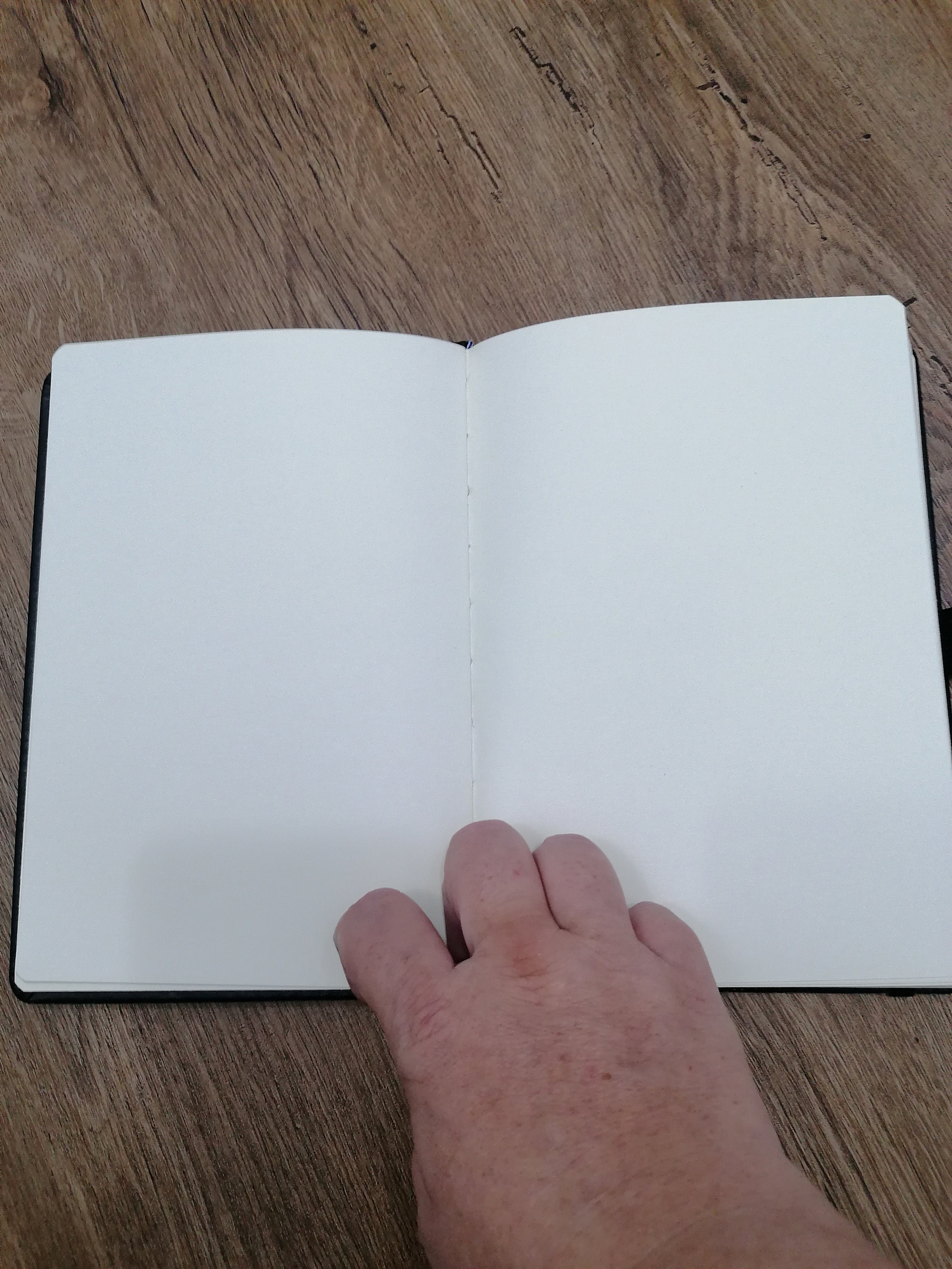 Edgar Allen Poe A5 Notebook Poe Silhouette Nevermore Poe - Etsy