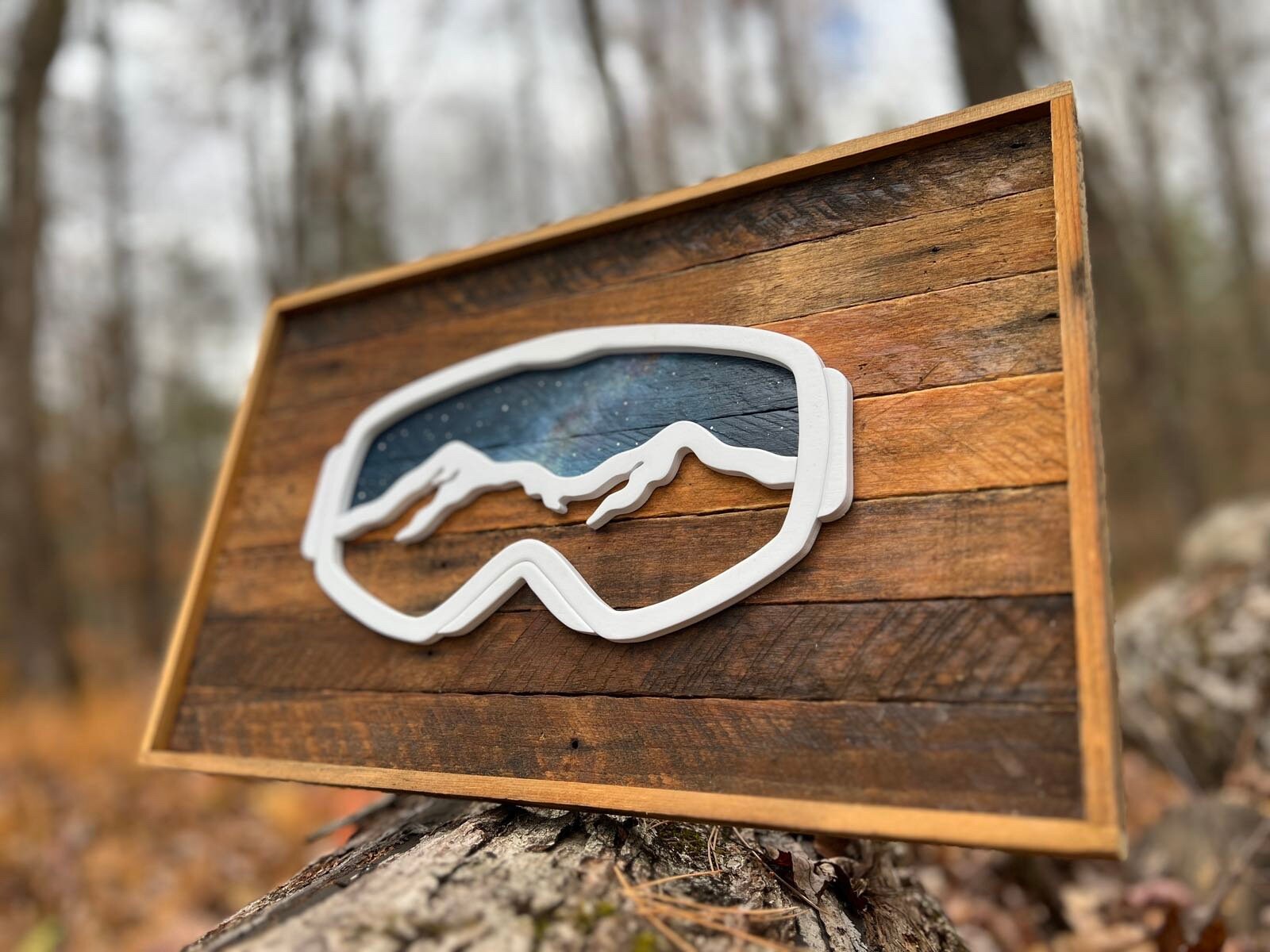 Ski Snowboard Snow Goggle Art - Etsy