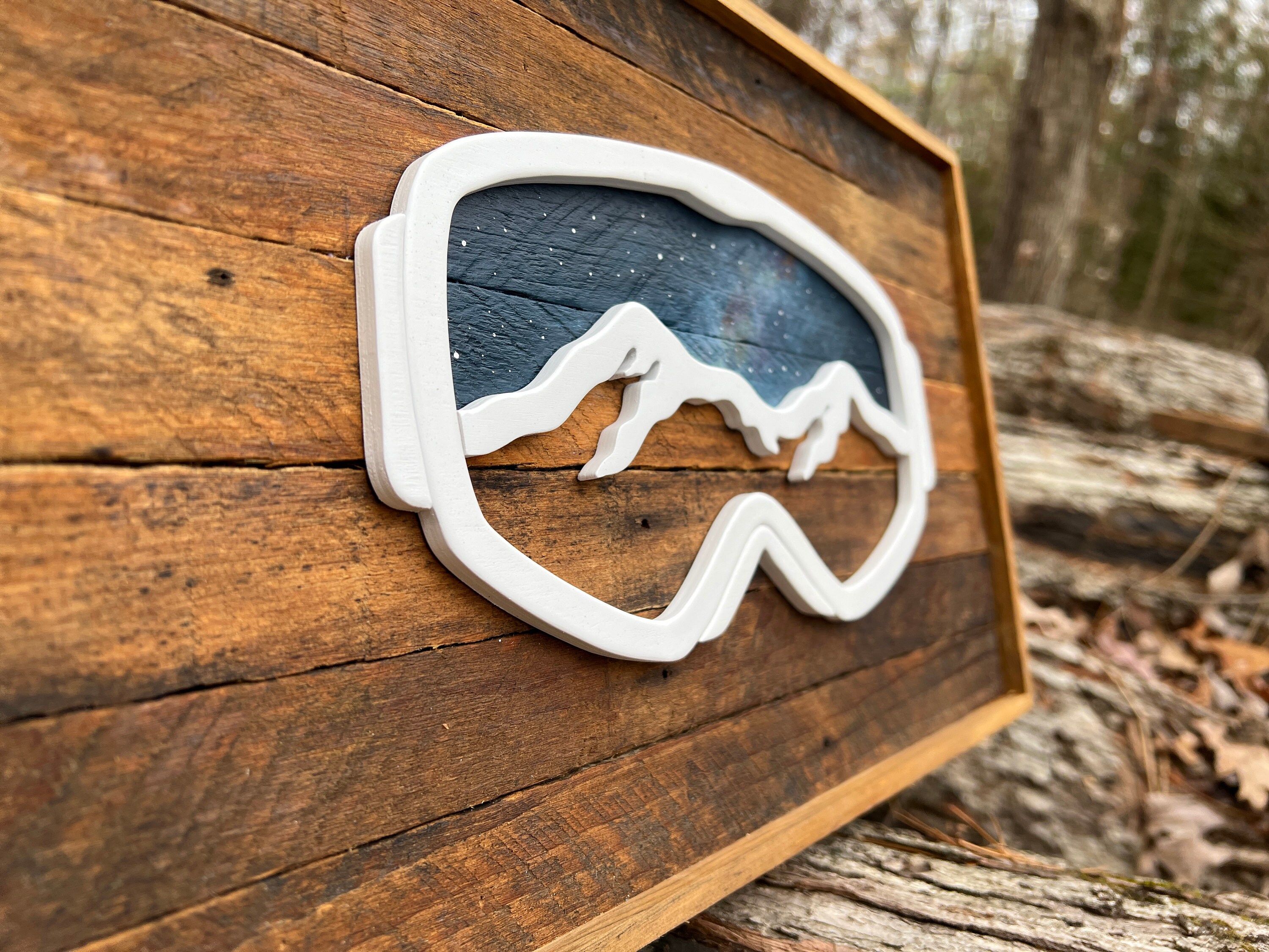 Ski Snowboard Snow Goggle Art - Etsy