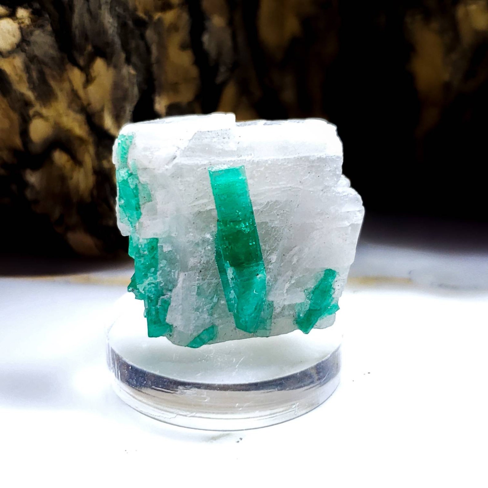 Rare Emerald Beryl Crystals in White Quartz, From Columbia Chivor Mine ...