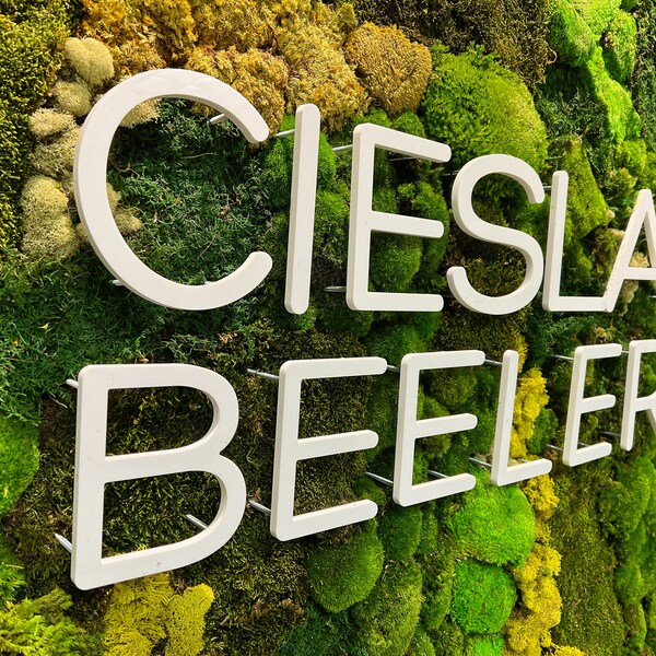 Raised Wooden Letters - Etsy