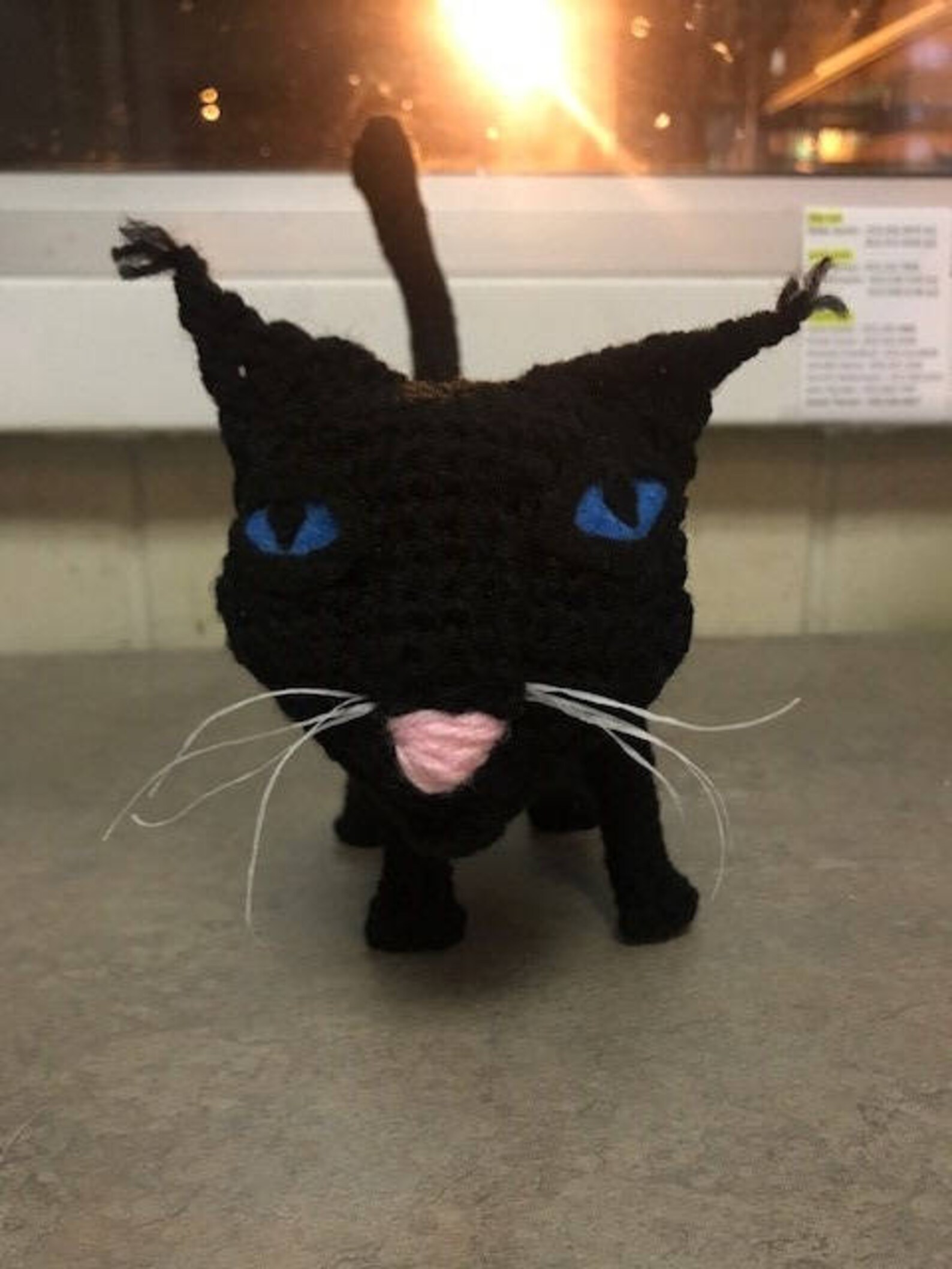 Wuss Puss Coraline Cat! - Etsy