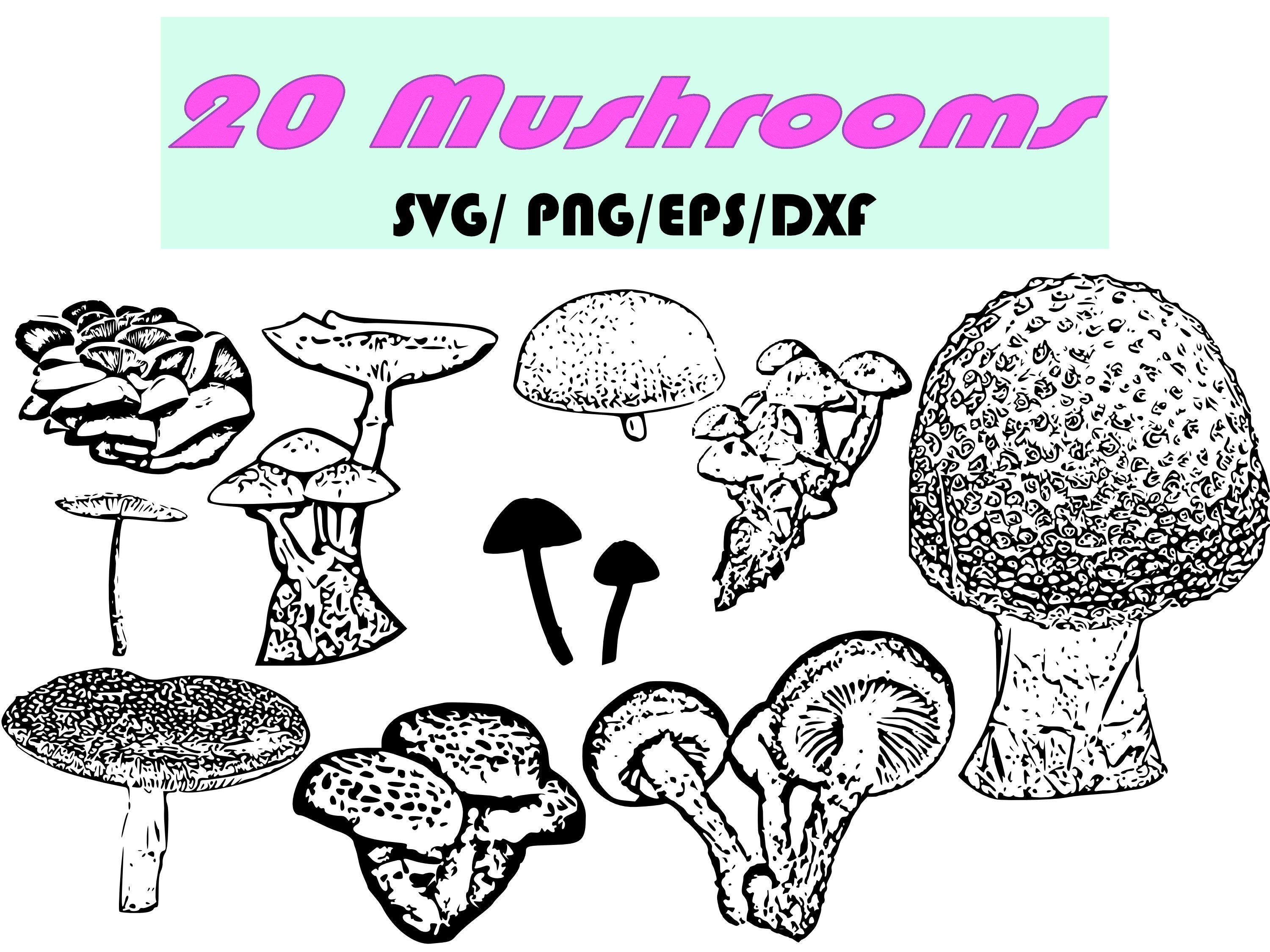 SVG Bundle Mushroom 20 Designs - Etsy