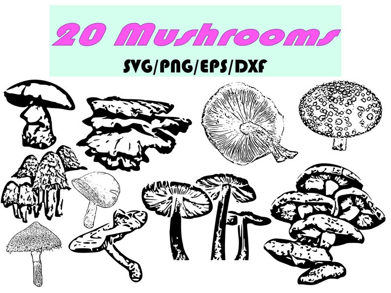 SVG Bundle Mushroom 20 Designs - Etsy