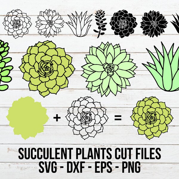 Paper Succulent Svg - Etsy