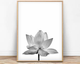 Lotus flower print | Etsy