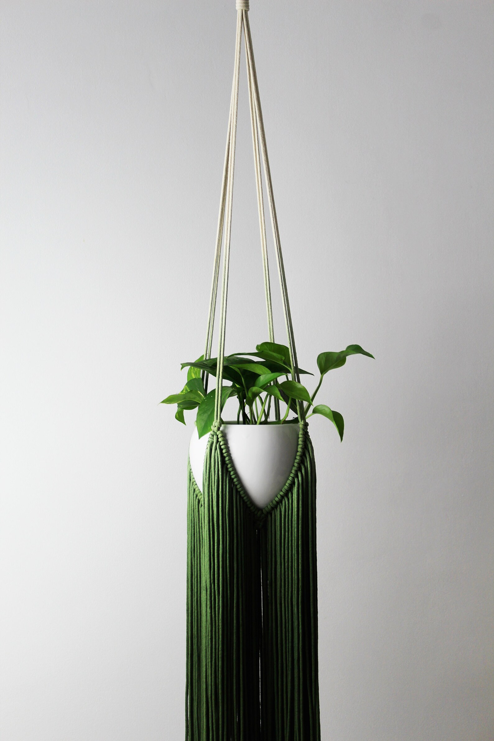 GREEN Macrame Macrame Plant Hanger Green Macrame Wall - Etsy UK