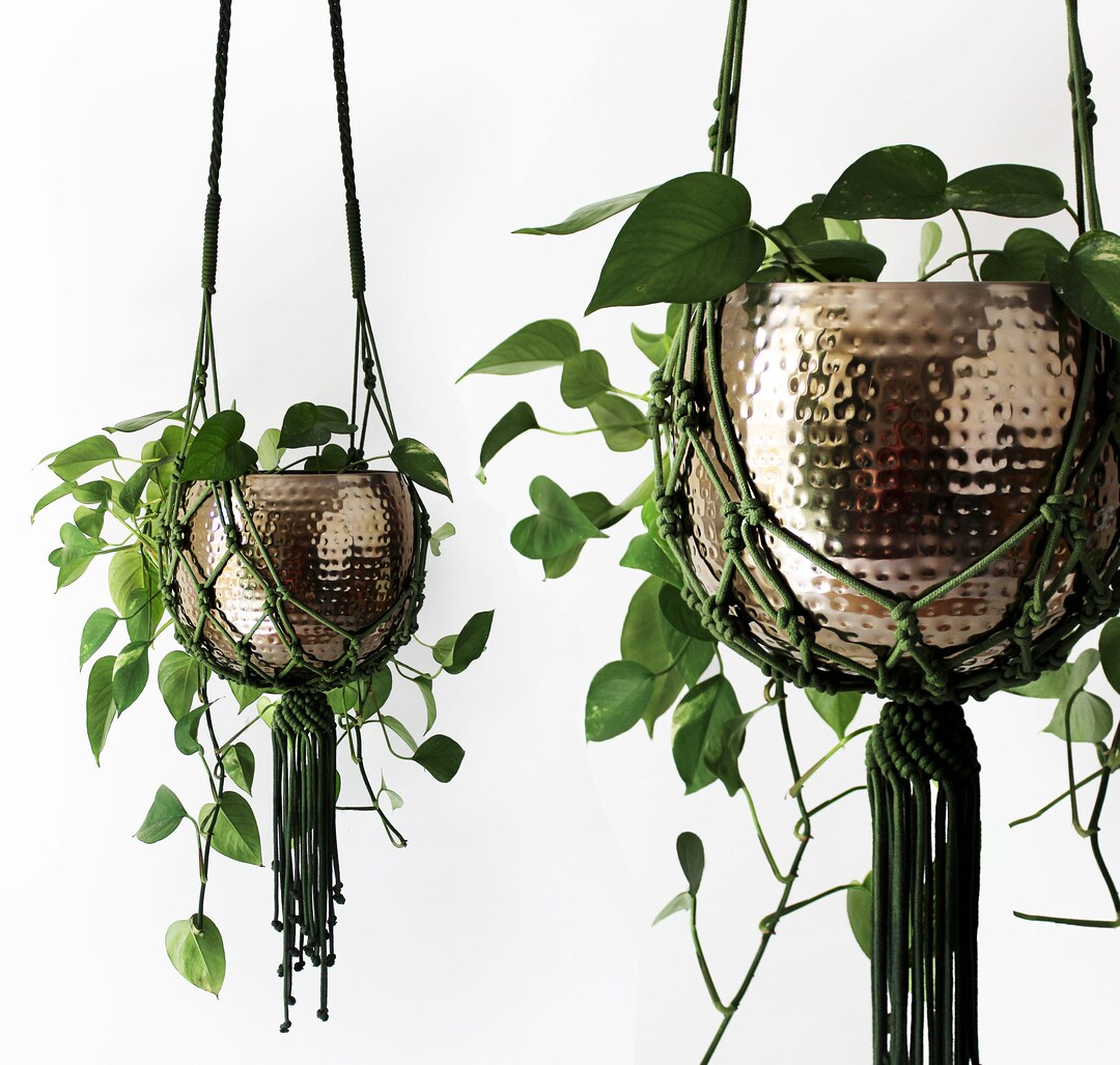 Very Long Plant Hanger, Ombre Design, Plant Lover Gift, Long Narrow ...