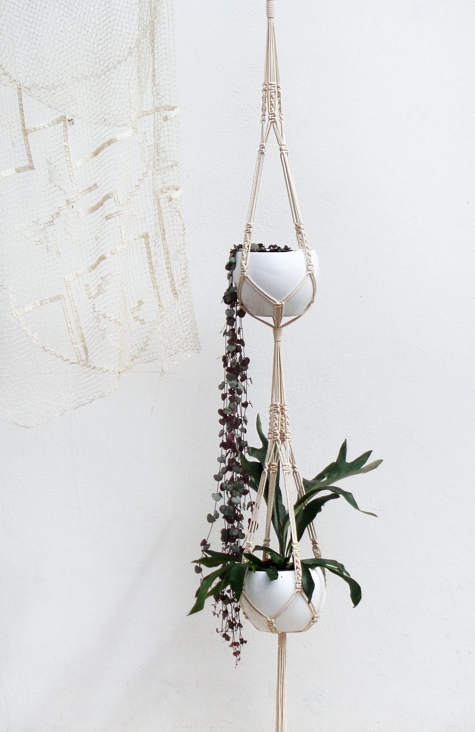 DOUBLE Macrame Plant Hanger Macrame Plant Hanger Modern | Etsy