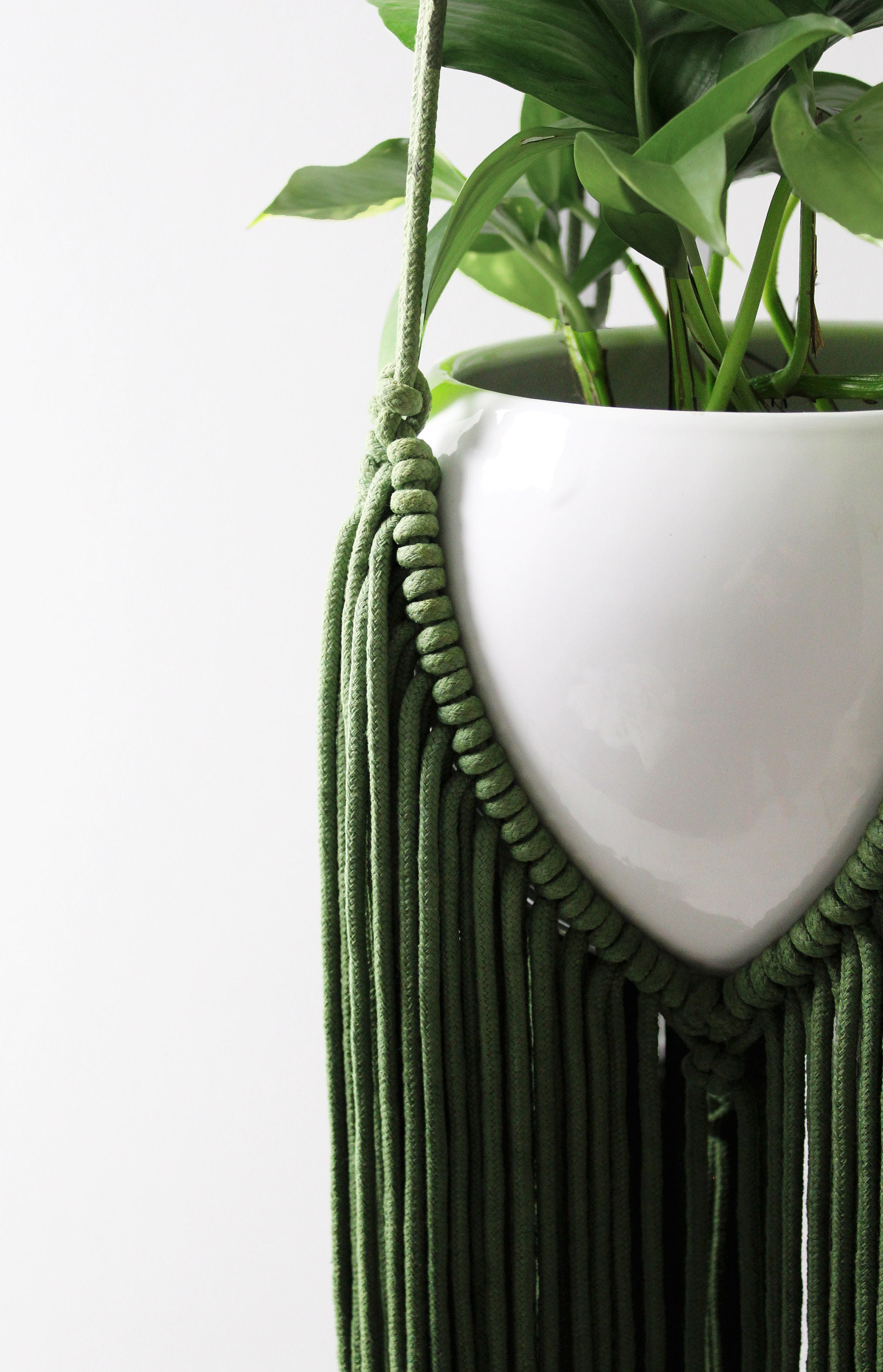 GREEN Macrame Macrame Plant Hanger Green Macrame Wall - Etsy UK