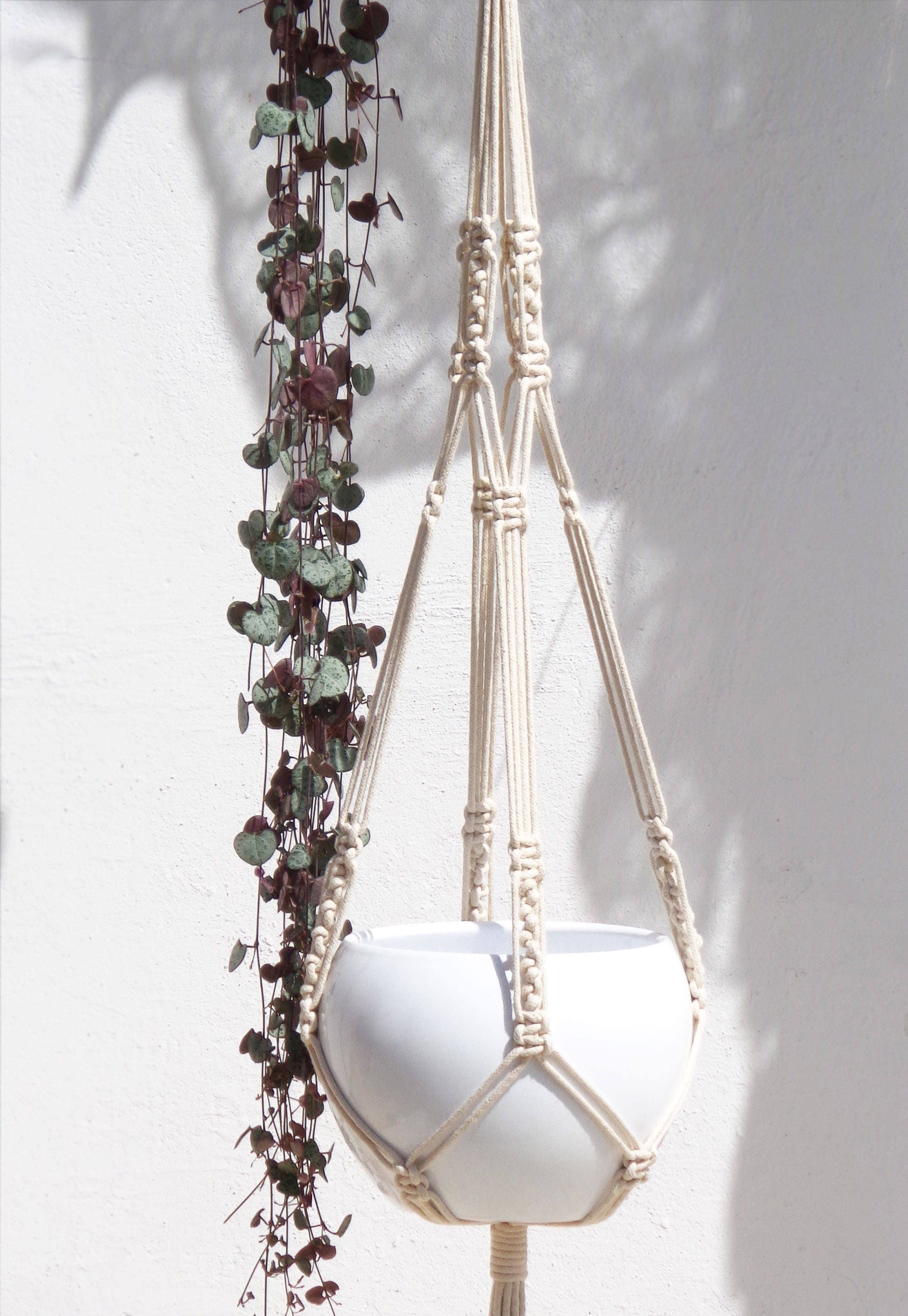 DOUBLE Macrame Plant Hanger Macrame Plant Hanger Modern | Etsy