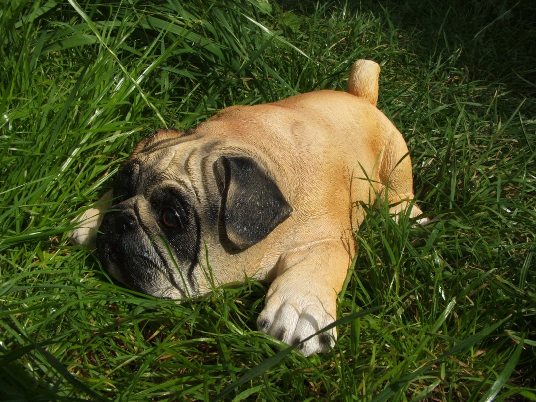 FREE DELIVERY! * Latex Mould / Mold for a Flat-out Pug Dog. - Etsy