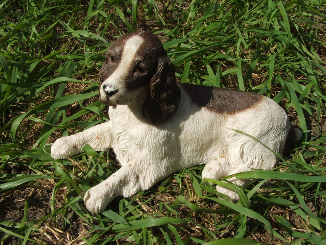 FREE DELIVERY Latex Mould / Mold for a Laying Springer Spaniel Dog. - Etsy